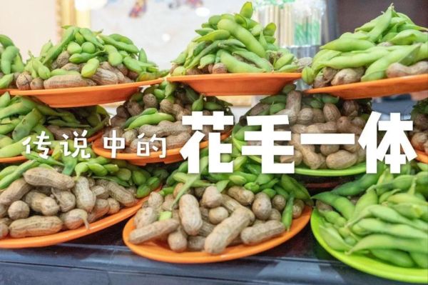 羊腰子传说歌词讲了什么_羊腰子故事背景-第3张图片-山城妙识