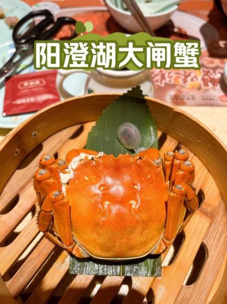 芜湖阳澄湖大闸蟹多少钱一斤_芜湖阳澄湖大闸蟹价格表-第1张图片-山城妙识 芜湖阳澄湖大闸蟹多少钱一斤_芜湖阳澄湖大闸蟹价格表-第1张图片-山城妙识