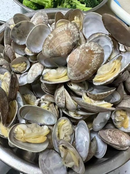 花甲多少钱一斤_花甲价格为什么波动这么大-第1张图片-山城妙识 花甲多少钱一斤_花甲价格为什么波动这么大-第1张图片-山城妙识