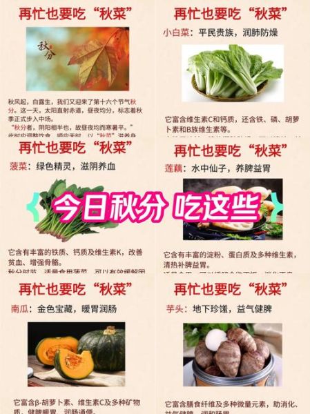 秋分吃什么传统食物_秋分节气饮食习俗-第1张图片-山城妙识 秋分吃什么传统食物_秋分节气饮食习俗-第1张图片-山城妙识