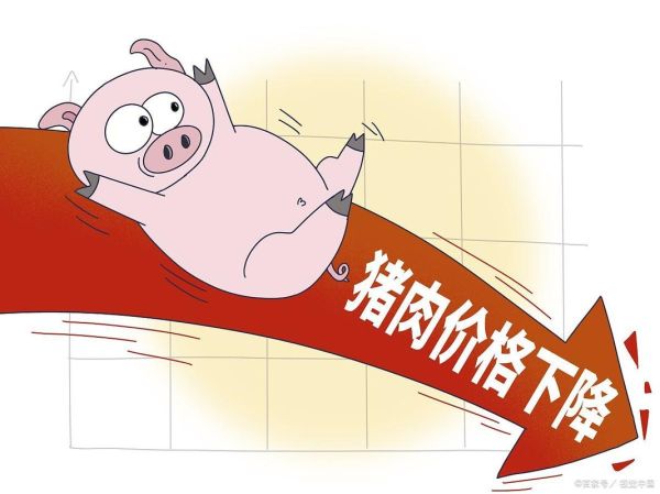 猪肉价格为何一降再降_未来还会再跌吗-第1张图片-山城妙识