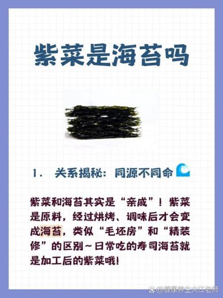 海苔和紫菜的区别_哪个更好吃-第3张图片-山城妙识 海苔和紫菜的区别_哪个更好吃-第3张图片-山城妙识