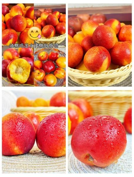 白油桃怎么挑选_白油桃和黄油桃区别-第2张图片-山城妙识 白油桃怎么挑选_白油桃和黄油桃区别-第2张图片-山城妙识