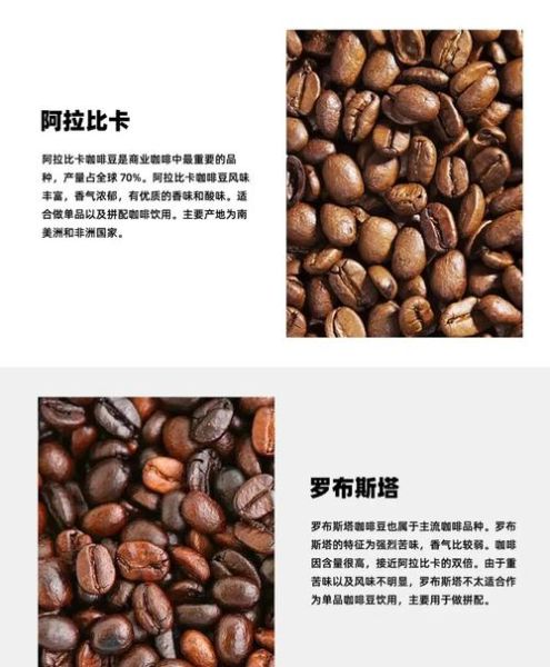 阿拉比卡咖啡豆和罗布斯塔咖啡豆的区别_哪个更好喝-第2张图片-山城妙识