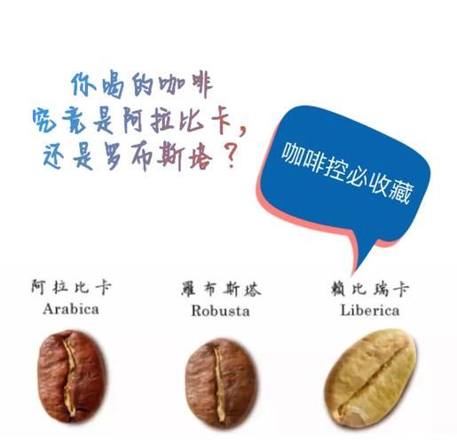 阿拉比卡咖啡豆和罗布斯塔咖啡豆的区别_哪个更好喝-第3张图片-山城妙识