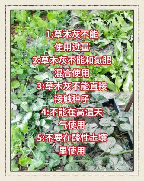 草木灰是酸性还是碱性_草木灰改良土壤怎么用-第1张图片-山城妙识 草木灰是酸性还是碱性_草木灰改良土壤怎么用-第1张图片-山城妙识