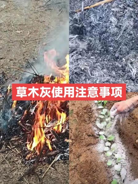 草木灰是酸性还是碱性_草木灰改良土壤怎么用-第2张图片-山城妙识 草木灰是酸性还是碱性_草木灰改良土壤怎么用-第2张图片-山城妙识