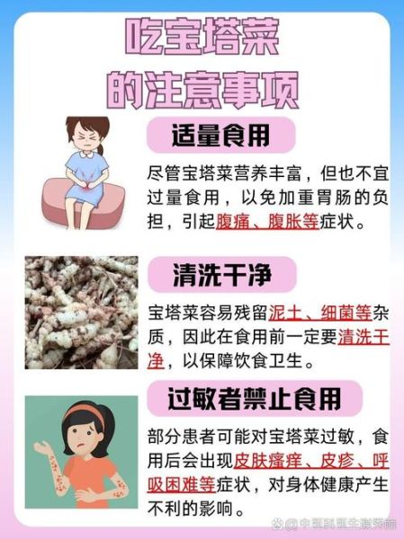 宝塔菜的营养价值_宝塔菜怎么吃最健康-第1张图片-山城妙识 宝塔菜的营养价值_宝塔菜怎么吃最健康-第1张图片-山城妙识
