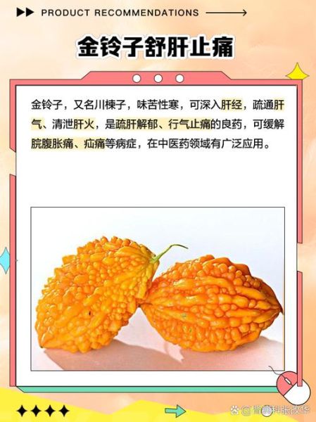 金铃子功效与作用_金铃子怎么吃效果最好-第2张图片-山城妙识
