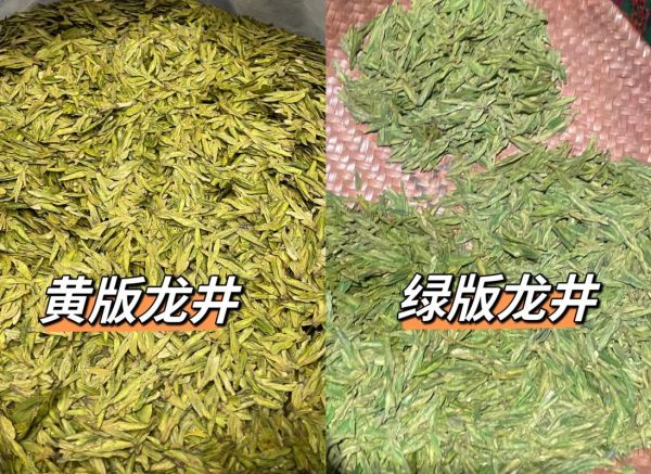 龙井茶是绿茶吗_龙井茶属于什么茶类-第3张图片-山城妙识 龙井茶是绿茶吗_龙井茶属于什么茶类-第3张图片-山城妙识