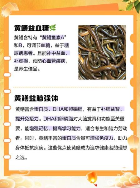 黄鳝鱼的营养价值_黄鳝鱼的功效与作用-第3张图片-山城妙识 黄鳝鱼的营养价值_黄鳝鱼的功效与作用-第3张图片-山城妙识