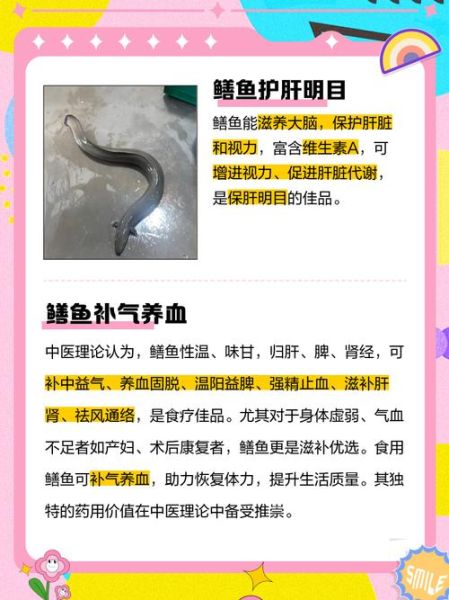 黄鳝鱼的营养价值_黄鳝鱼的功效与作用-第1张图片-山城妙识 黄鳝鱼的营养价值_黄鳝鱼的功效与作用-第1张图片-山城妙识