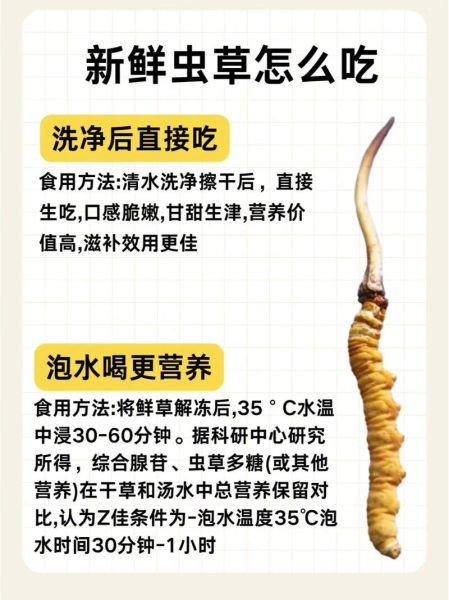 虫草的功效与作用_虫草适合什么人吃-第1张图片-山城妙识