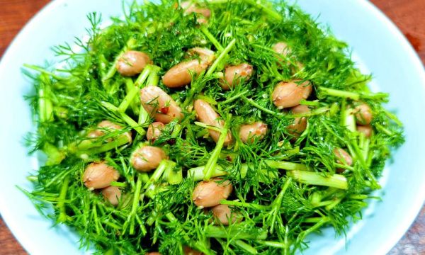 茴香菜长什么样_茴香菜怎么吃-第3张图片-山城妙识