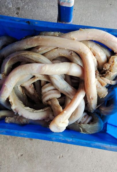 驴鞭多少钱一根_驴鞭图片怎么看真假-第2张图片-山城妙识 驴鞭多少钱一根_驴鞭图片怎么看真假-第2张图片-山城妙识