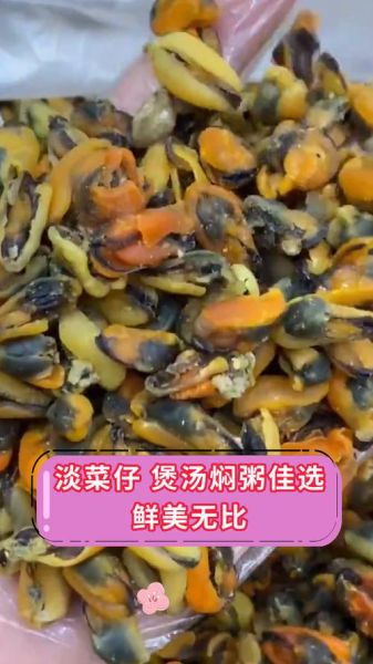 淡菜仔是什么_淡菜仔怎么做好吃-第2张图片-山城妙识