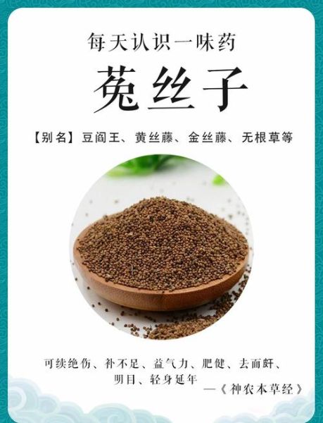 菟丝子怎么吃_菟丝子功效与作用禁忌-第1张图片-山城妙识 菟丝子怎么吃_菟丝子功效与作用禁忌-第1张图片-山城妙识