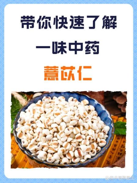 薏苡仁的功效与用量_薏苡仁一天吃多少克-第2张图片-山城妙识 薏苡仁的功效与用量_薏苡仁一天吃多少克-第2张图片-山城妙识