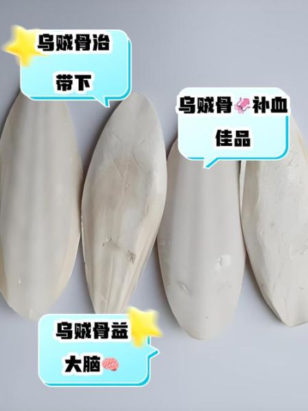 乌贼骨粉的功效与禁忌_乌贼骨粉怎么吃才安全-第3张图片-山城妙识