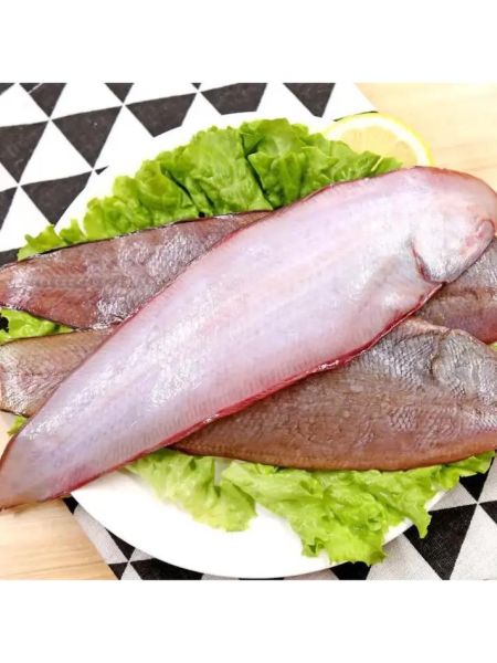 龙利鱼是世界上最脏的鱼_真的吗-第2张图片-山城妙识 龙利鱼是世界上最脏的鱼_真的吗-第2张图片-山城妙识