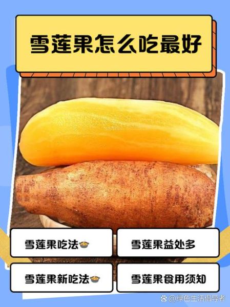 雪莲果怎么吃_雪莲果的正确吃法-第3张图片-山城妙识