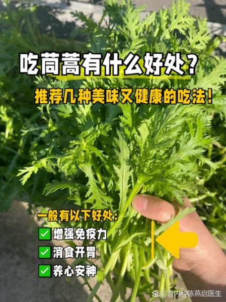 茼蒿菜有什么功效_茼蒿菜怎么吃最营养-第2张图片-山城妙识