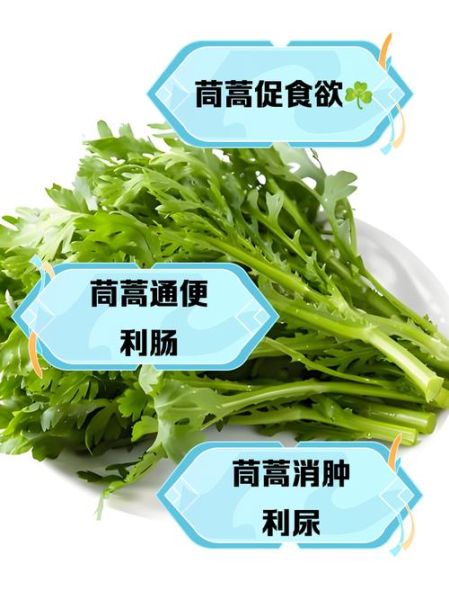 茼蒿菜有什么功效_茼蒿菜怎么吃最营养-第3张图片-山城妙识