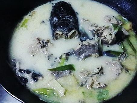 鲶鱼汤怎么做_鲶鱼汤去腥技巧-第3张图片-山城妙识