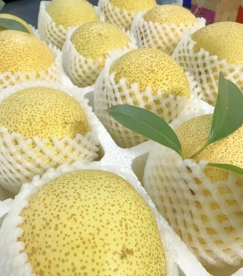 酥梨的功效与作用_酥梨怎么吃润肺止咳-第3张图片-山城妙识 酥梨的功效与作用_酥梨怎么吃润肺止咳-第3张图片-山城妙识