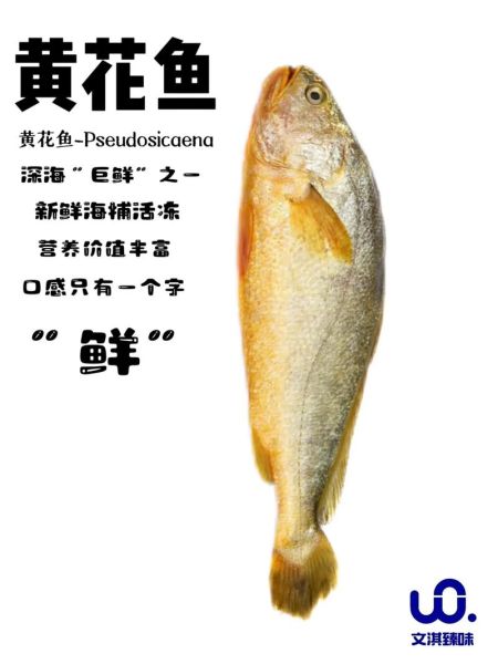 黄鱼网站大全有哪些_黄鱼网站大全怎么找-第1张图片-山城妙识 黄鱼网站大全有哪些_黄鱼网站大全怎么找-第1张图片-山城妙识