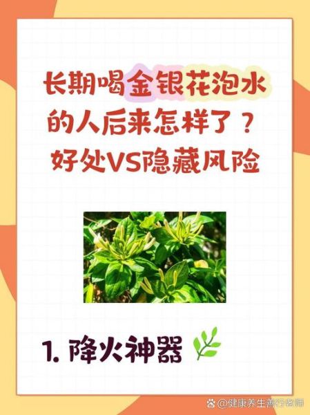 长期喝金银花泡水的好处和坏处_金银花泡水可以天天喝吗-第3张图片-山城妙识