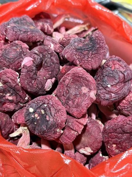 红蘑菇的功效与作用_红蘑菇怎么吃最好-第3张图片-山城妙识