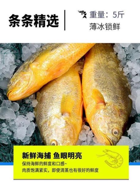 黄花鱼价格多少钱一斤_为什么波动这么大-第3张图片-山城妙识 黄花鱼价格多少钱一斤_为什么波动这么大-第3张图片-山城妙识