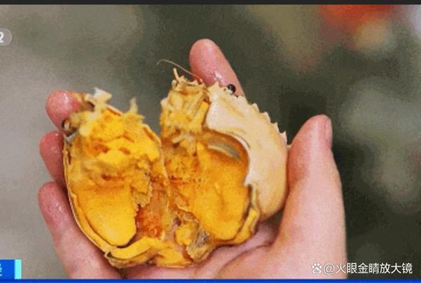 黄油蟹市价多少钱一斤_黄油蟹为什么这么贵-第2张图片-山城妙识 黄油蟹市价多少钱一斤_黄油蟹为什么这么贵-第2张图片-山城妙识