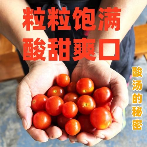 酸汤火锅底料怎么做_正宗贵州红酸汤配方-第3张图片-山城妙识 酸汤火锅底料怎么做_正宗贵州红酸汤配方-第3张图片-山城妙识