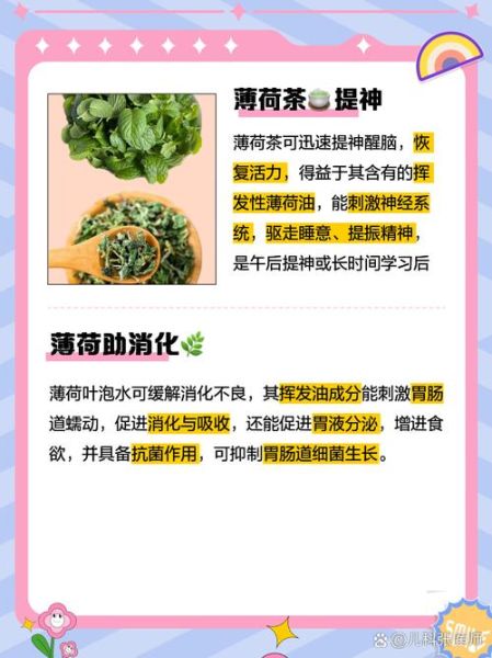 薄荷叶的功效与作用及禁忌症_薄荷叶泡水喝的禁忌-第2张图片-山城妙识 薄荷叶的功效与作用及禁忌症_薄荷叶泡水喝的禁忌-第2张图片-山城妙识