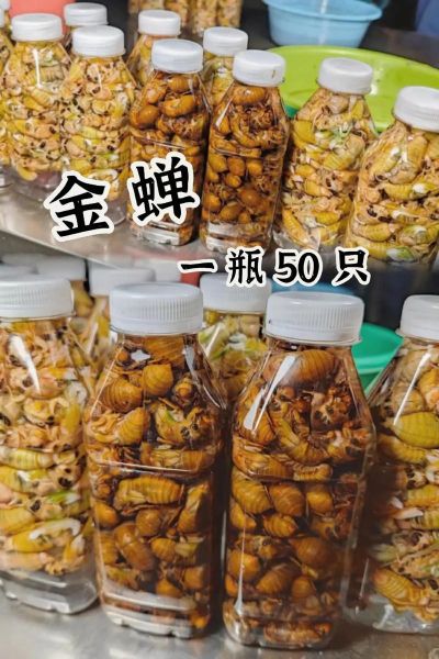 吃金蝉的危害_金蝉吃多了会怎样-第3张图片-山城妙识 吃金蝉的危害_金蝉吃多了会怎样-第3张图片-山城妙识