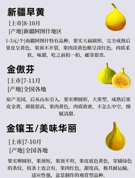 口感最好的无花果品种_哪个品种最甜-第1张图片-山城妙识