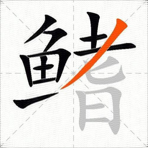 鳍怎么读拼音_鱼鳍和鱼翅的区别-第2张图片-山城妙识