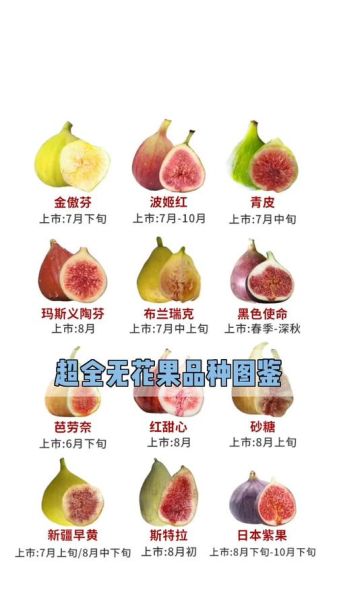 口感最好的无花果品种_哪个品种最甜-第3张图片-山城妙识