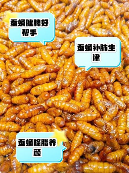 蚕蛹吃多了有害处吗_蚕蛹一天吃多少合适-第3张图片-山城妙识