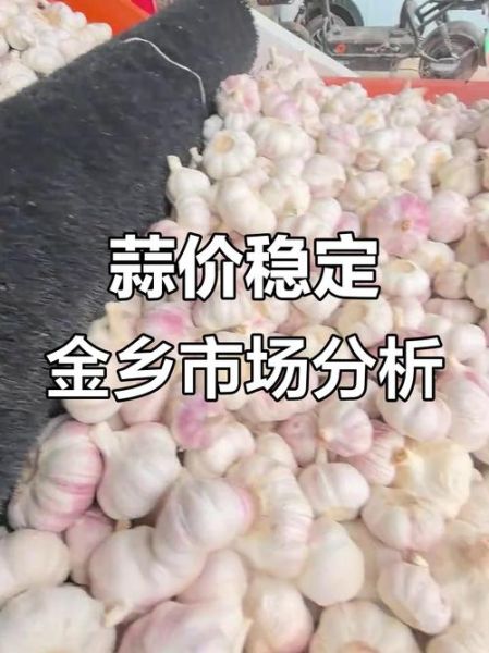 金乡大蒜价格今天多少钱一斤_金乡大蒜最新行情-第2张图片-山城妙识 金乡大蒜价格今天多少钱一斤_金乡大蒜最新行情-第2张图片-山城妙识