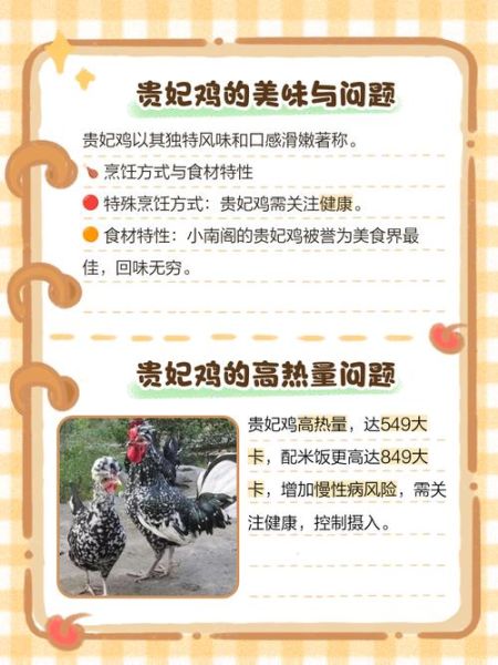 贵妃鸡能长多少斤_成年体重与饲养周期-第2张图片-山城妙识 贵妃鸡能长多少斤_成年体重与饲养周期-第2张图片-山城妙识