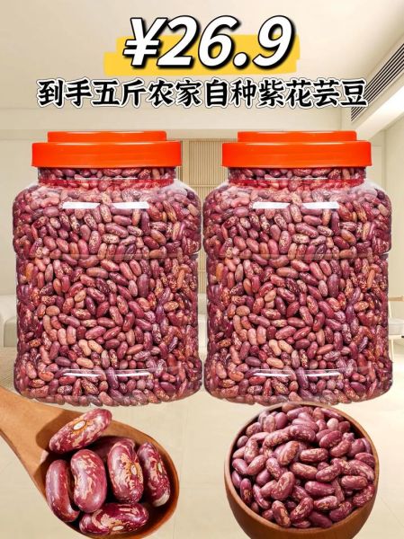 芸豆品种大全_芸豆哪个品种产量高-第2张图片-山城妙识 芸豆品种大全_芸豆哪个品种产量高-第2张图片-山城妙识
