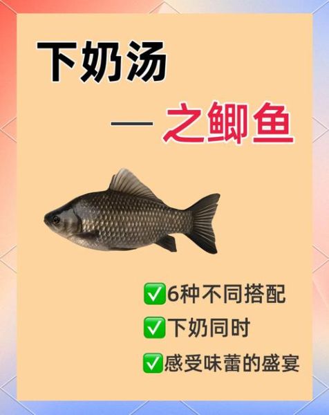 鲫鱼汤的做法_产妇下奶喝多久见效-第1张图片-山城妙识 鲫鱼汤的做法_产妇下奶喝多久见效-第1张图片-山城妙识