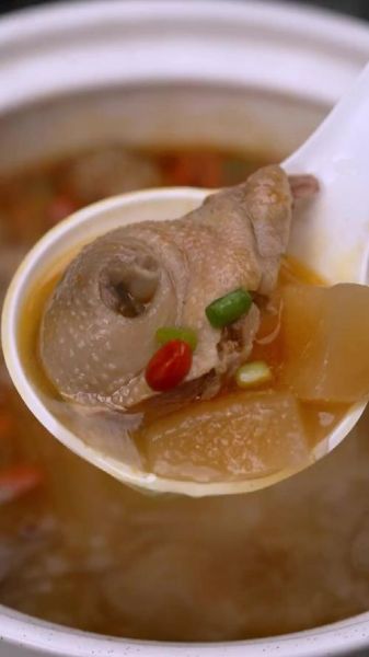 酸萝卜老鸭汤放什么炖好吃_老鸭汤加什么食材更鲜美-第3张图片-山城妙识