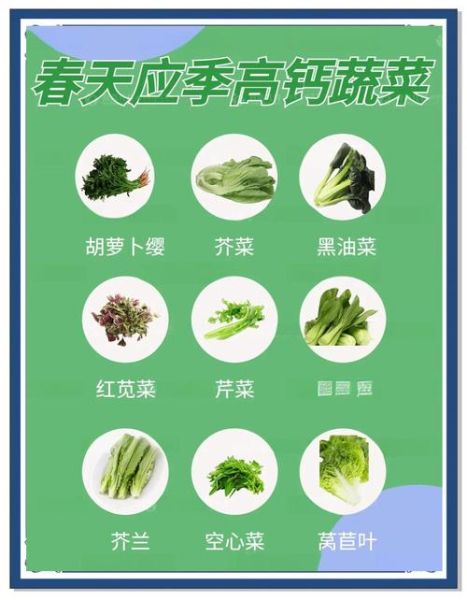 补钙的蔬菜有哪些_哪些蔬菜含钙量高-第1张图片-山城妙识 补钙的蔬菜有哪些_哪些蔬菜含钙量高-第1张图片-山城妙识