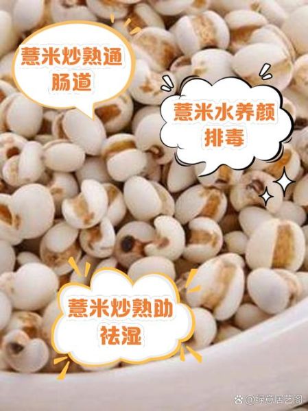 薏仁炒与不炒的区别_功效差异大吗-第3张图片-山城妙识 薏仁炒与不炒的区别_功效差异大吗-第3张图片-山城妙识