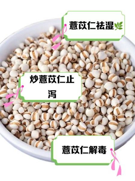 薏仁炒与不炒的区别_功效差异大吗-第2张图片-山城妙识 薏仁炒与不炒的区别_功效差异大吗-第2张图片-山城妙识