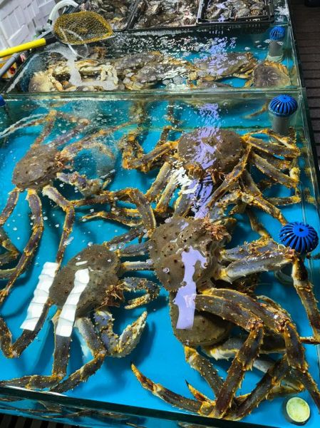 海鲜批发价格今日行情_哪里进货最便宜-第3张图片-山城妙识 海鲜批发价格今日行情_哪里进货最便宜-第3张图片-山城妙识